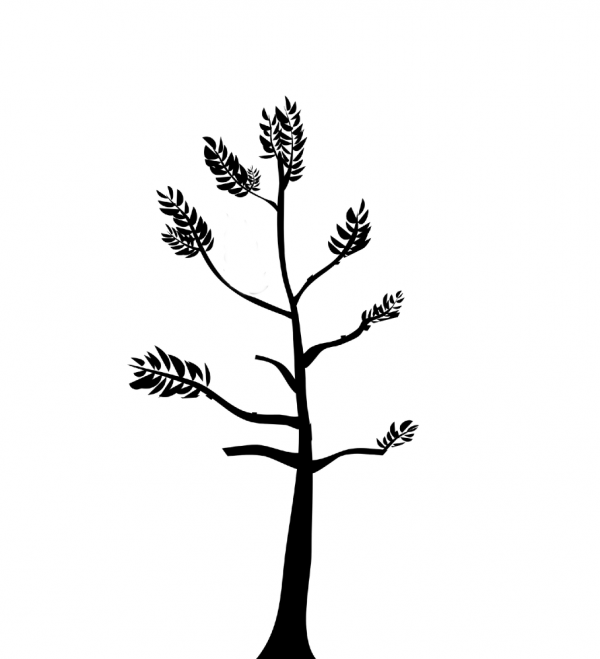 Formative Pruning – netreecare